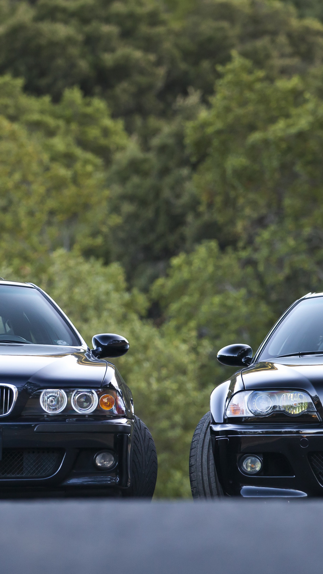 Download wallpaper Black, E46, E39, M3, M5, section bmw in resolution 1080x1920