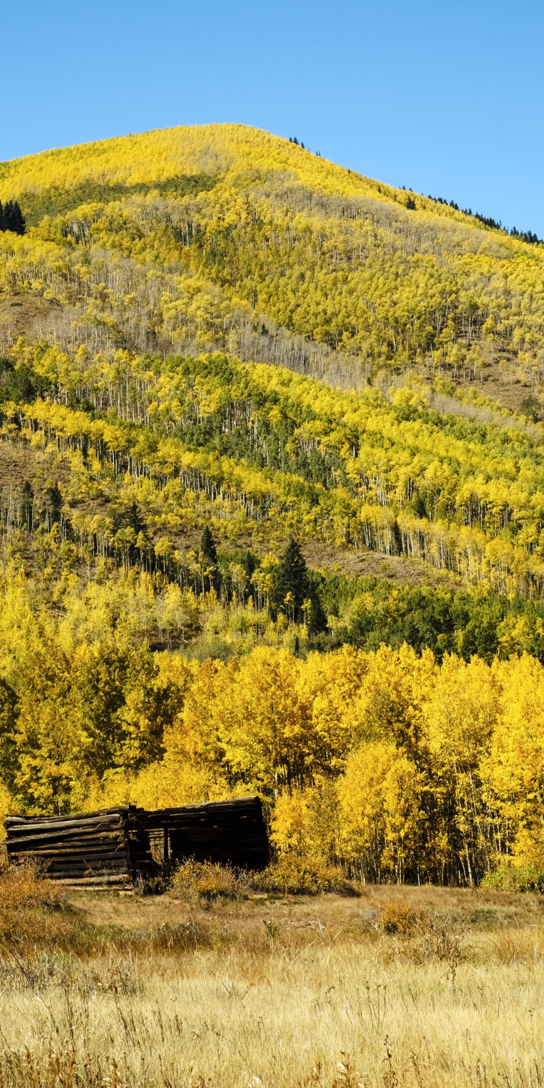 Download wallpaper field, autumn, forest, mountains, house, section landscapes in resolution ...