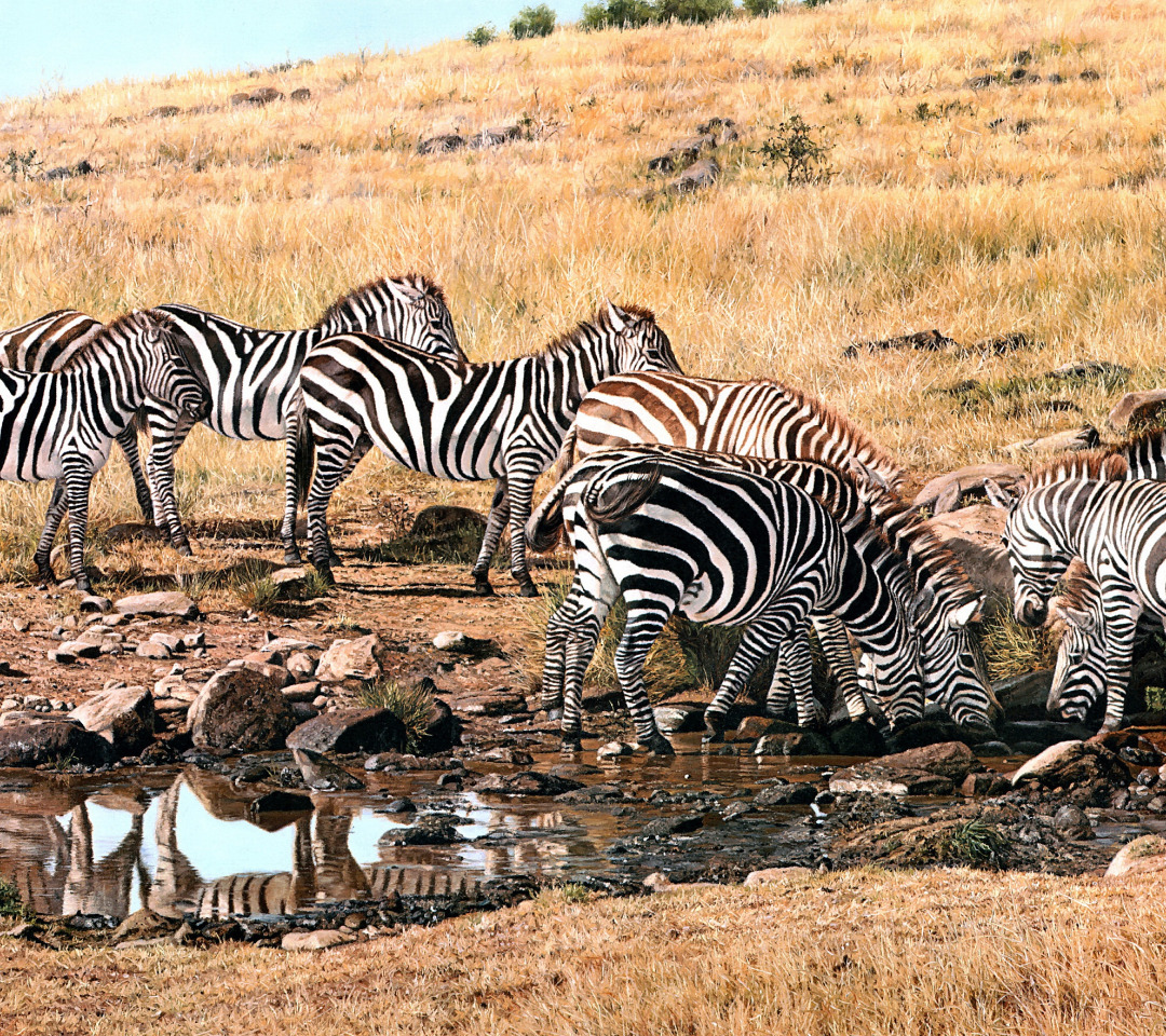 Download wallpaper field, grass, nature, stones, thirst, figure ...