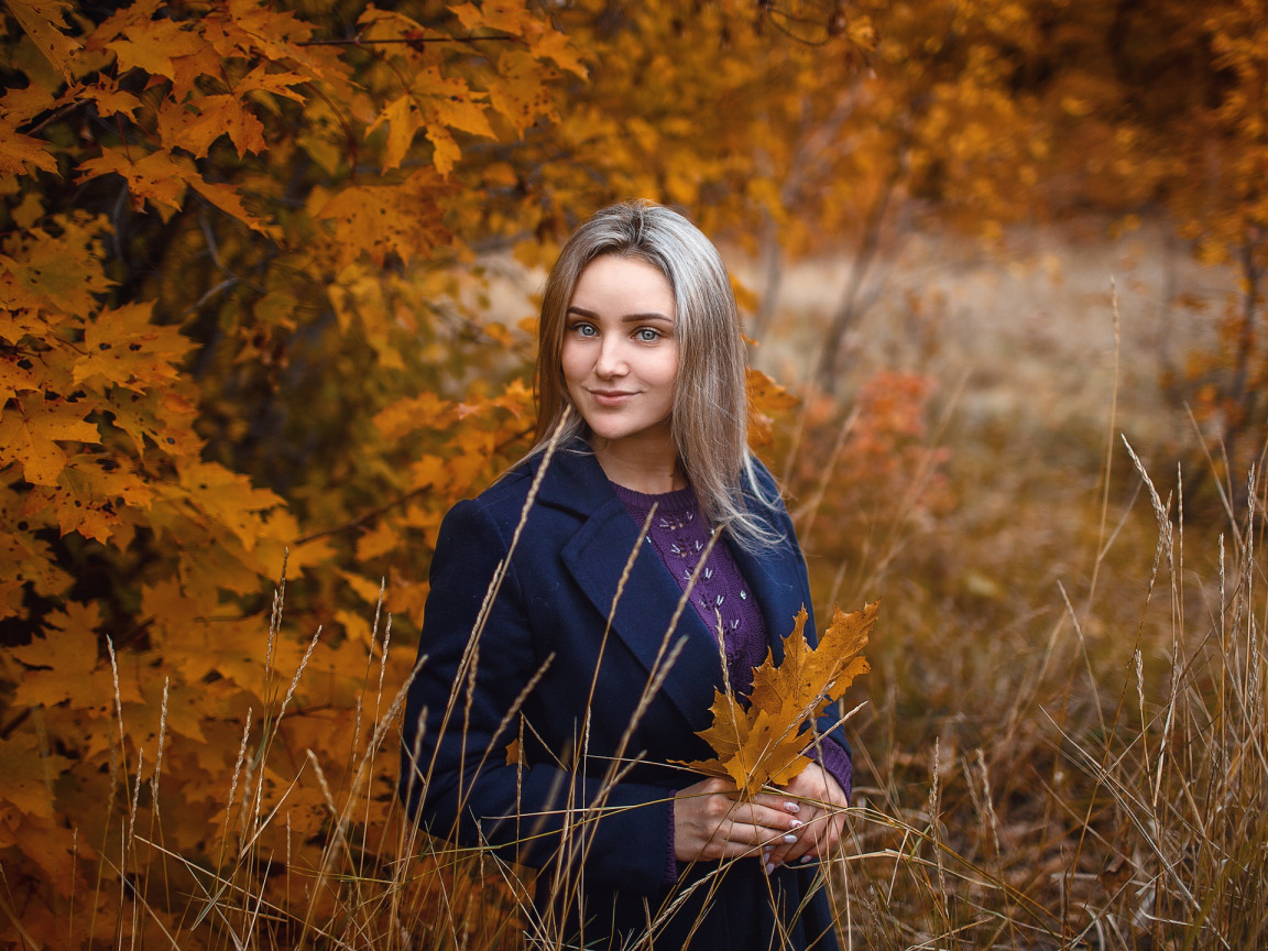 Download wallpaper autumn, leaves, branches, smile, Girl, Sergey Sorokin, section girls in ...