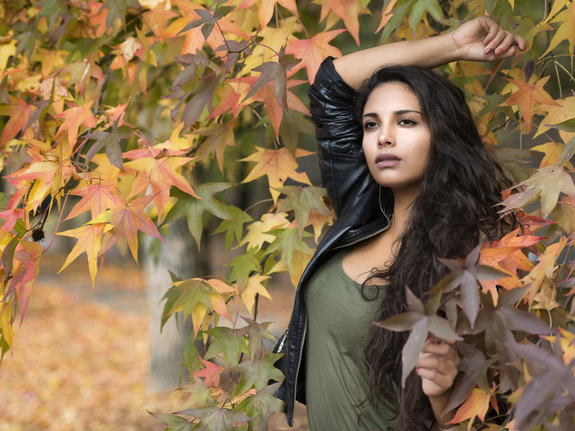 Download wallpaper autumn, face, pose, model, hair, Joanna, section girls in resolution 1152x864