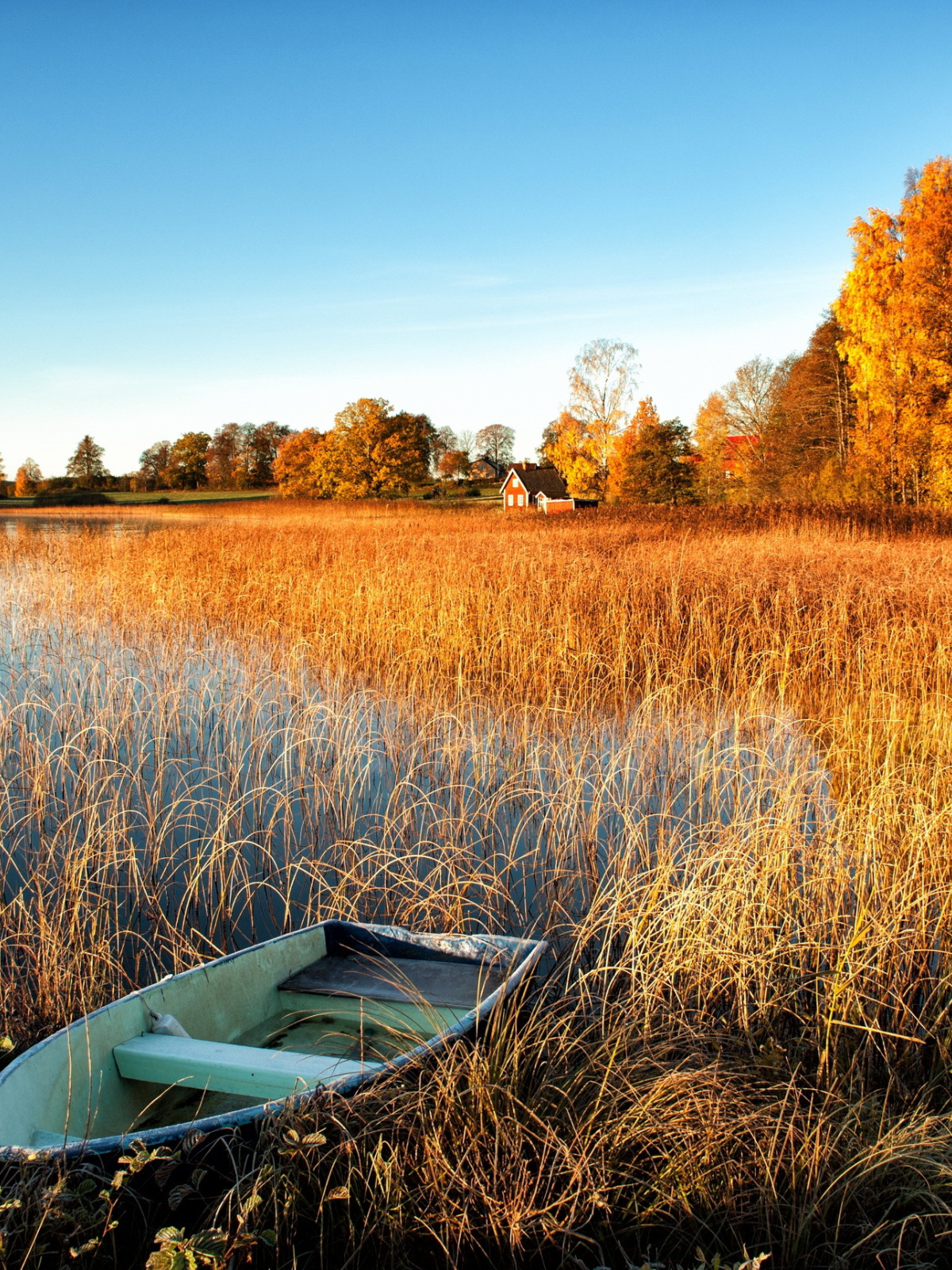 Download wallpaper autumn, trees, lake, boat, houses., section nature in resolution 1200x1600