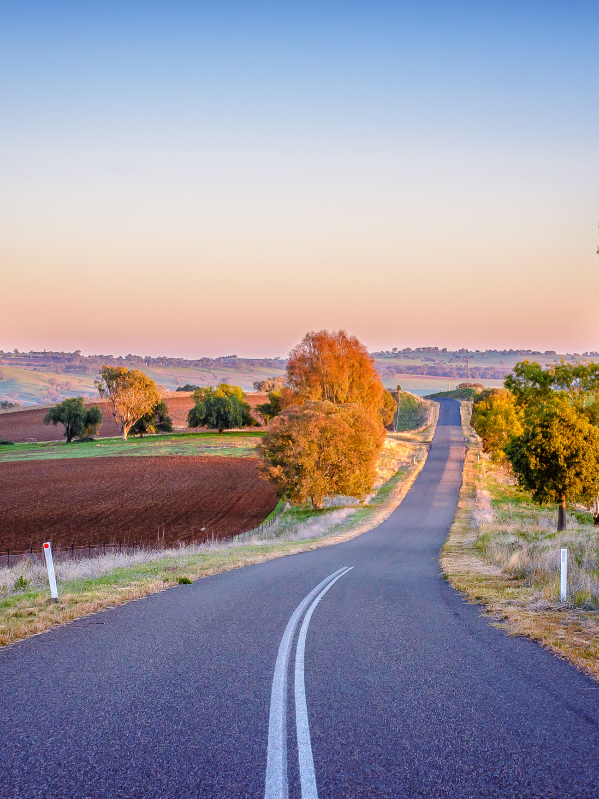 Download wallpaper Road, Autumn, Trees, Panorama, Field, Landscape, section nature in resolution ...