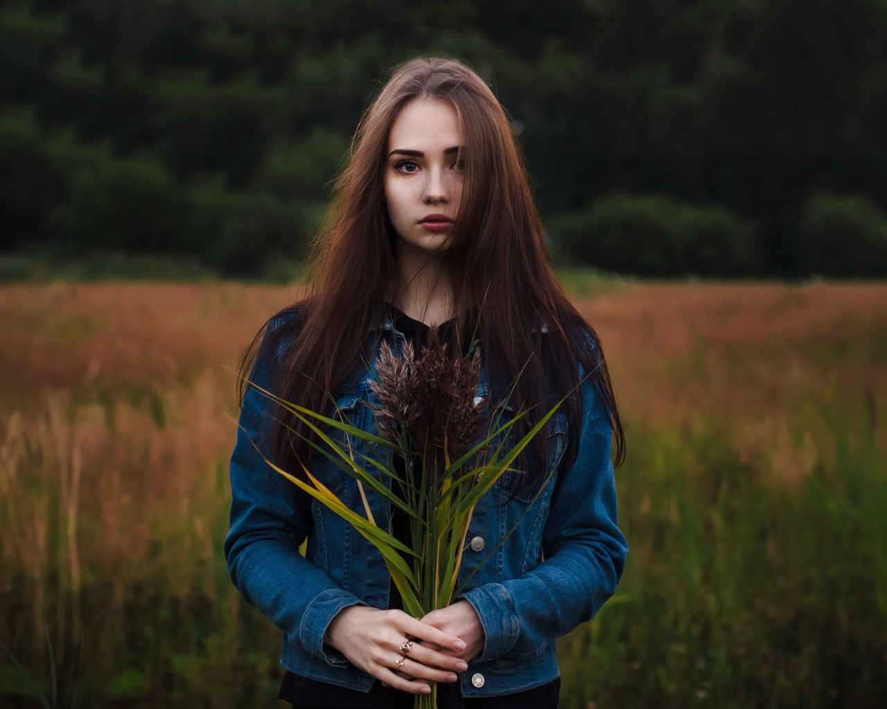 Download Wallpaper Field Grass Look Girl Trees Model Portrait