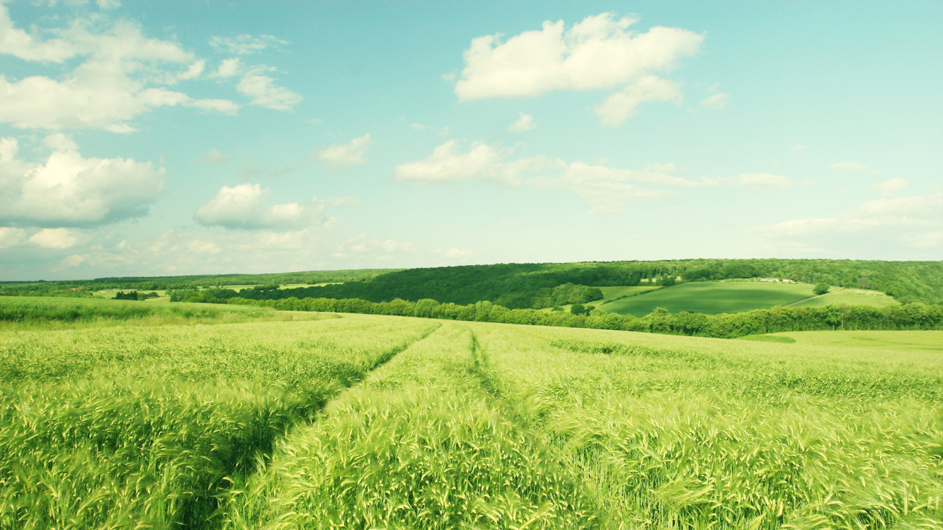 Download Wallpaper Field Forest Summer Grass The Sun Clouds Trees