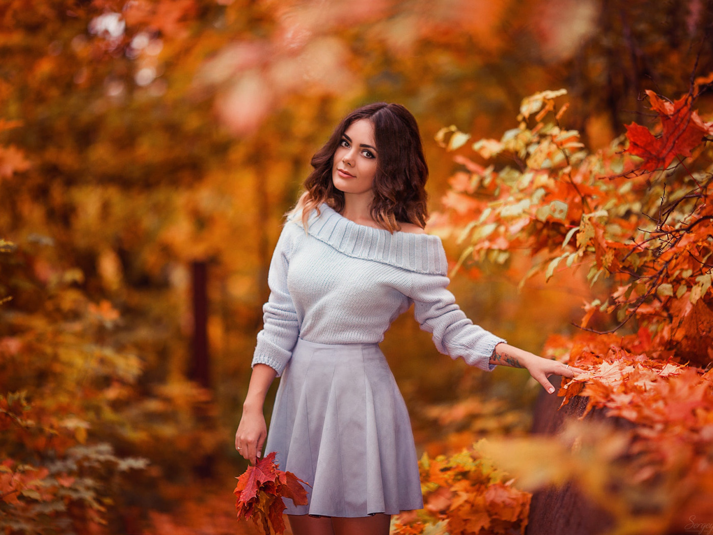 Download Wallpaper Autumn Look Leaves Girl Park Photo Sweater