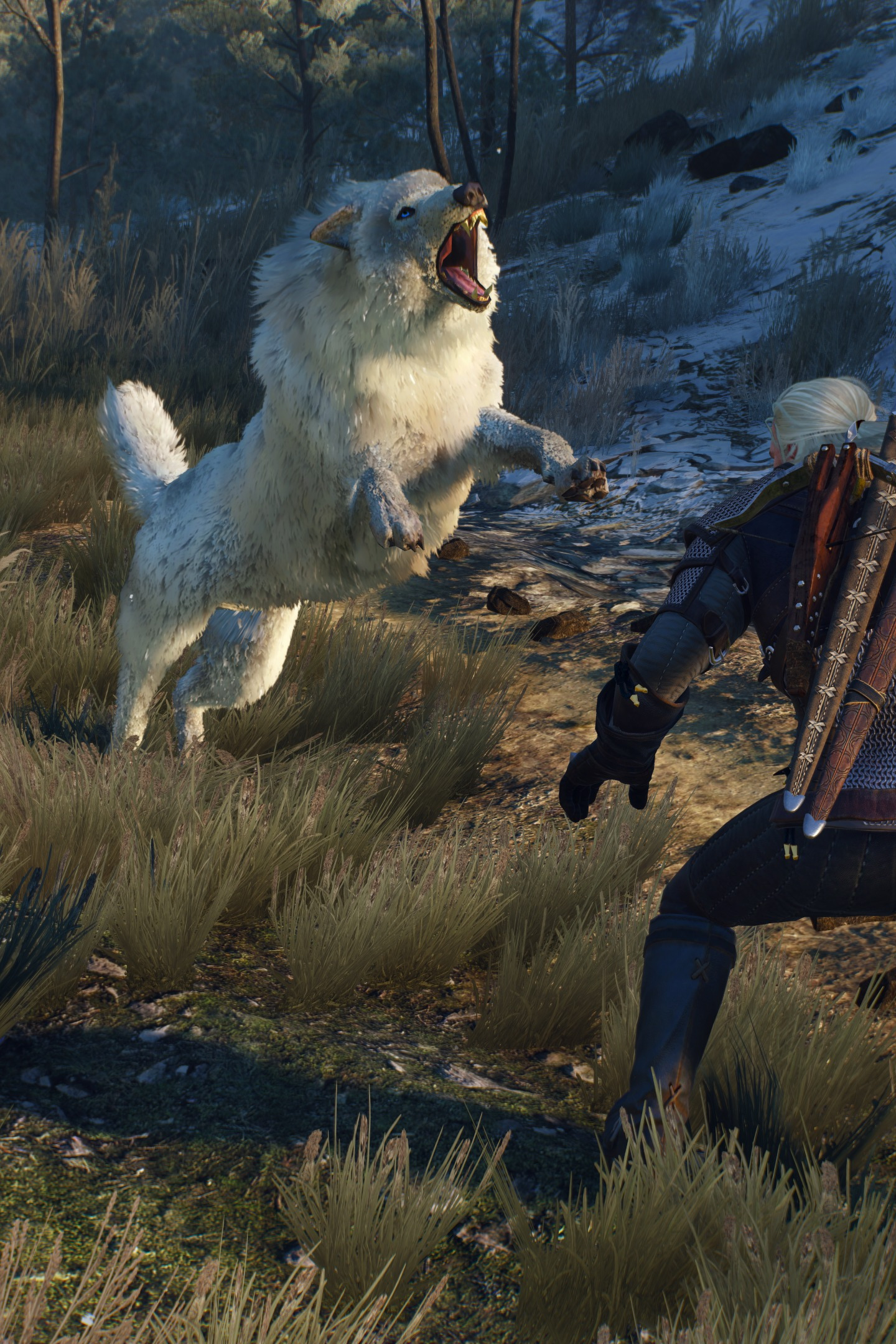 Download wallpaper Wolves, The Witcher, White, Wolf, Medieval, The ...