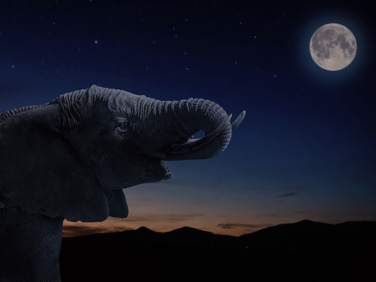 Download wallpaper stars, night, elephant, The moon, moon, night, stars ...