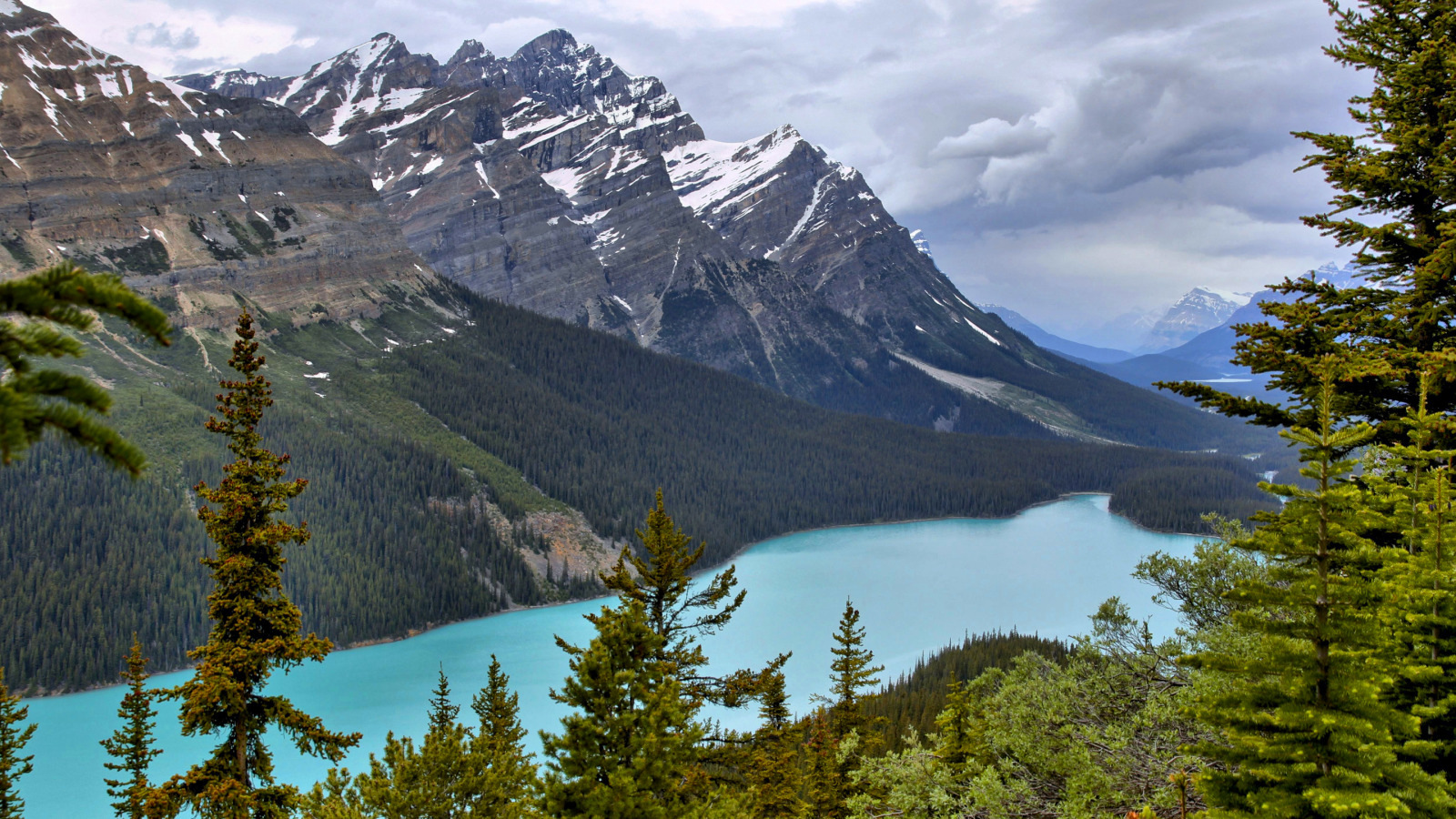 Download wallpaper forest, the sky, trees, mountains, lake, Banff ...