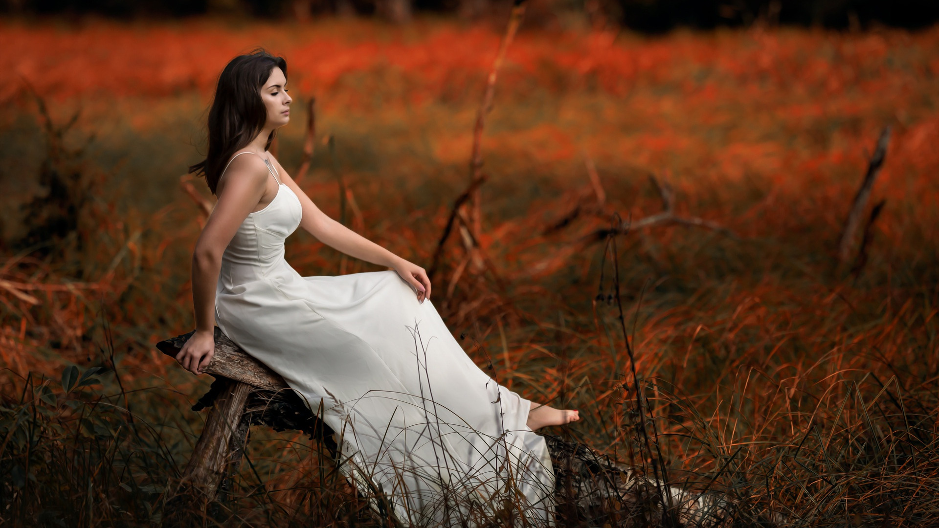 Download Wallpaper Autumn Girl Nature Pose Photo Hair Dress