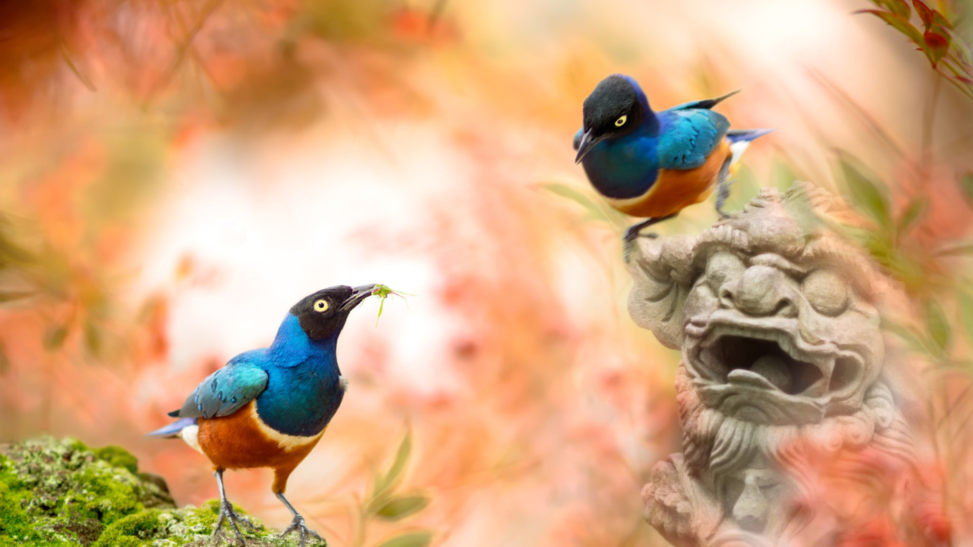 Download wallpaper birds, branches, nature, tropics, pair, sculpture ...
