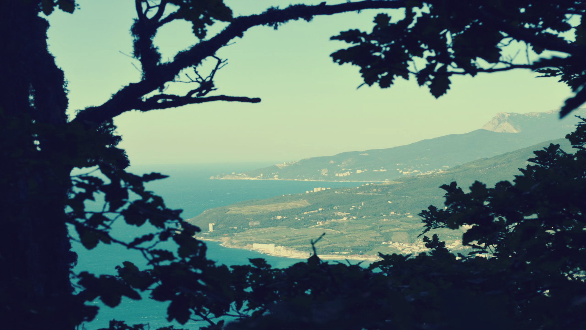 Download wallpaper sea, forest, mountains, Crimea, section nature in ...