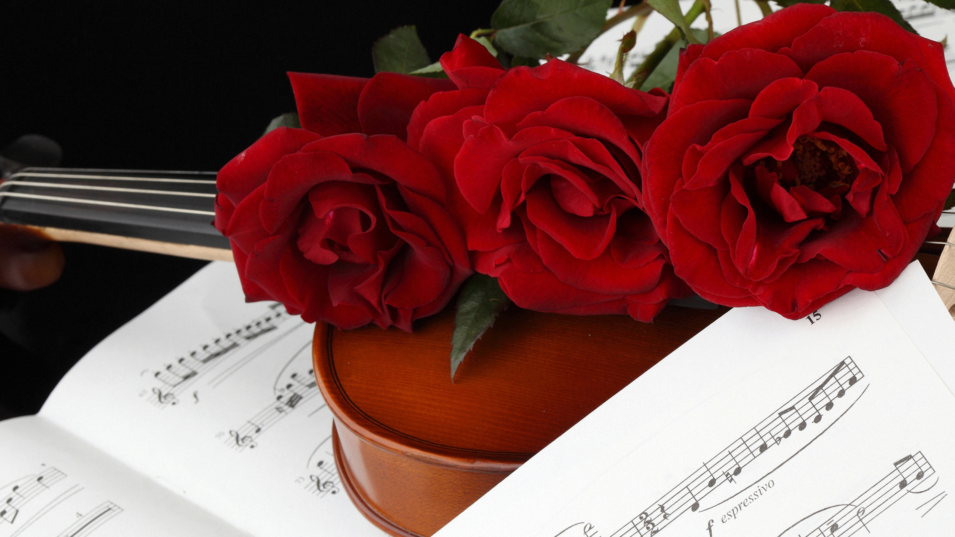 Download wallpaper flowers, notes, violin, roses, red, three, section ...