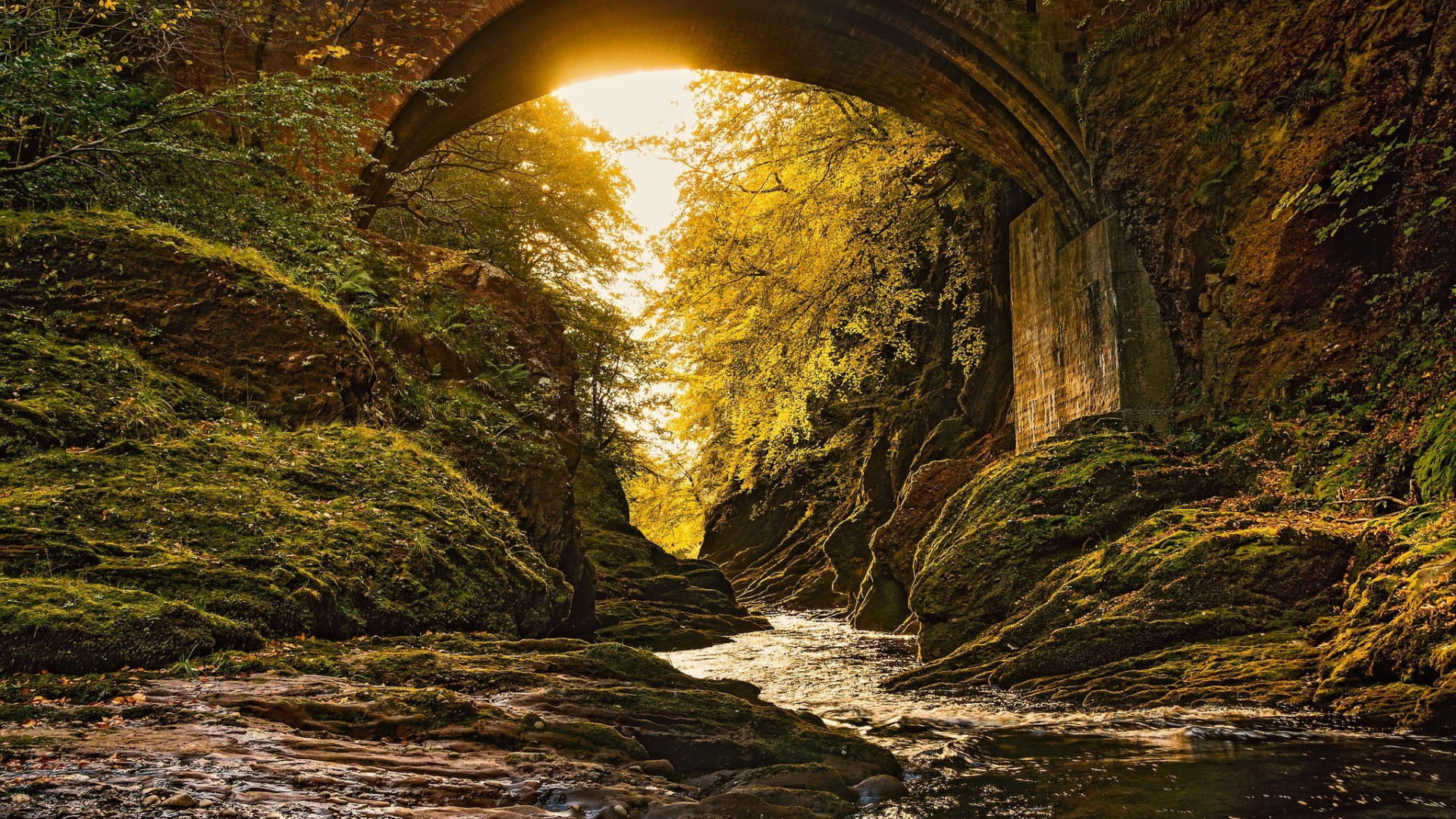 Download wallpaper forest, bridge, arch, section landscapes in ...