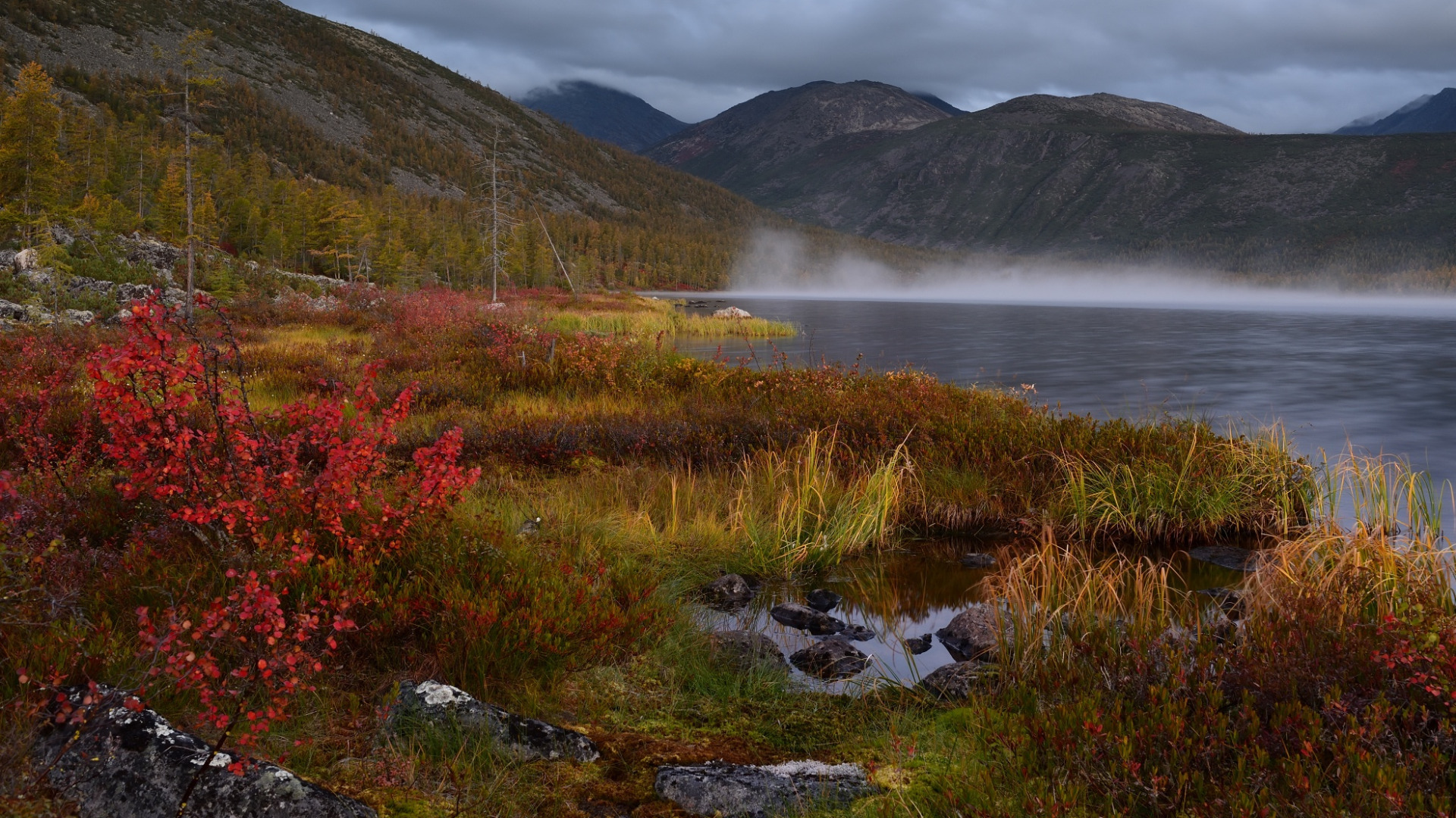 Download wallpaper the sky, grass, trees, mountains, clouds, nature ...