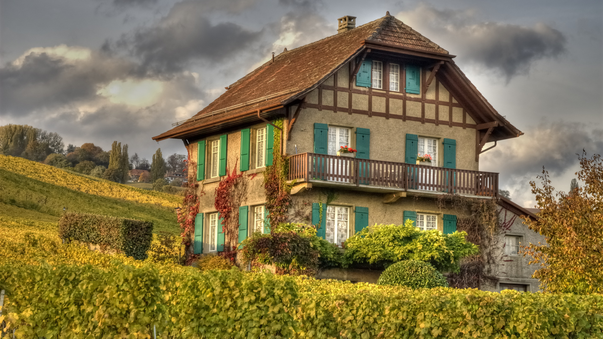 Download wallpaper autumn, nature, house, vineyard, house, Nature ...