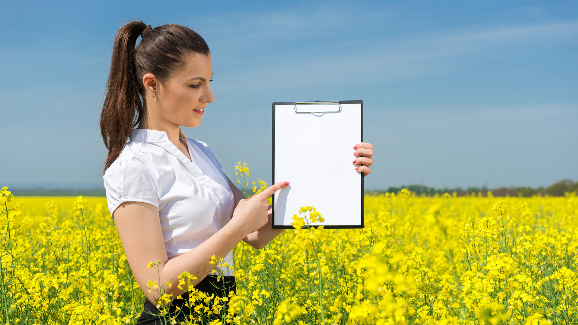 Download Wallpaper Field Summer The Sky Girl The Sun Nature Pose