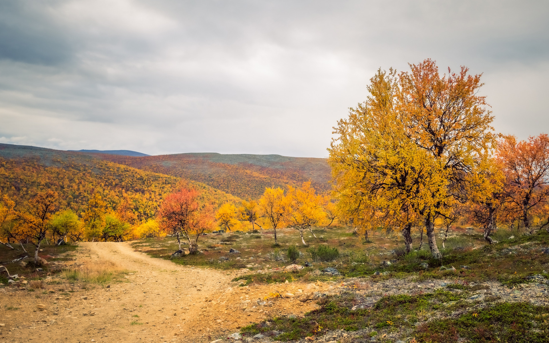 Download wallpaper road, field, autumn, forest, the sky, clouds, trees, mountains, section ...