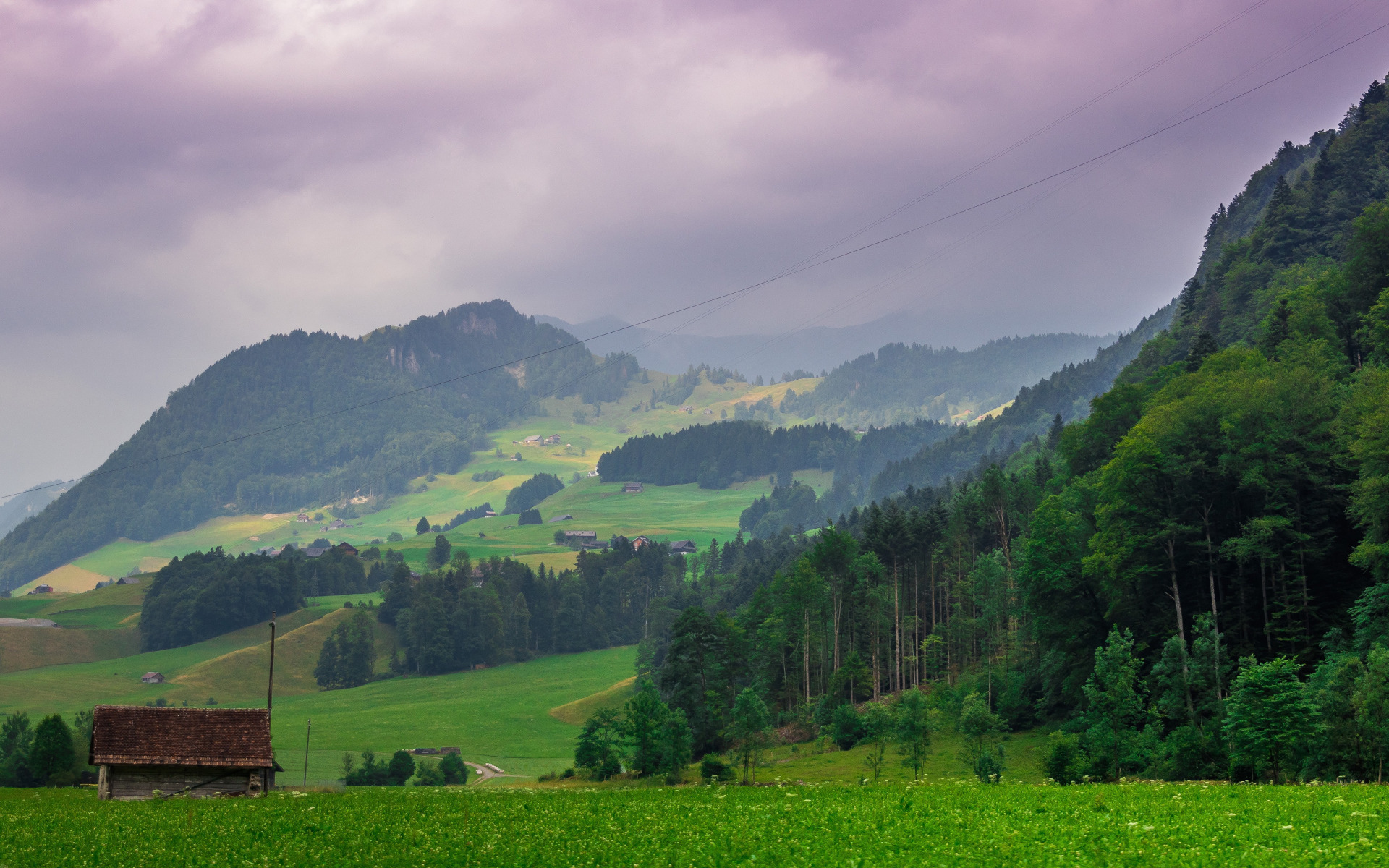 Download Wallpaper Greens Field Forest Summer The Sky Clouds