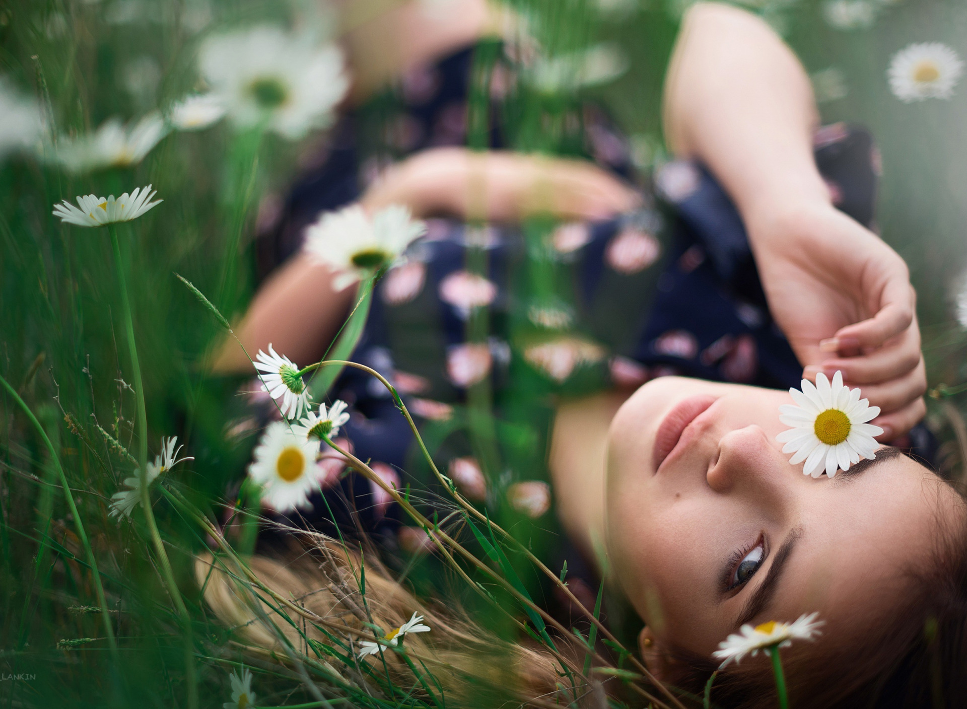 Download Wallpaper Look Girl Flowers Face Mood Chamomile Denis