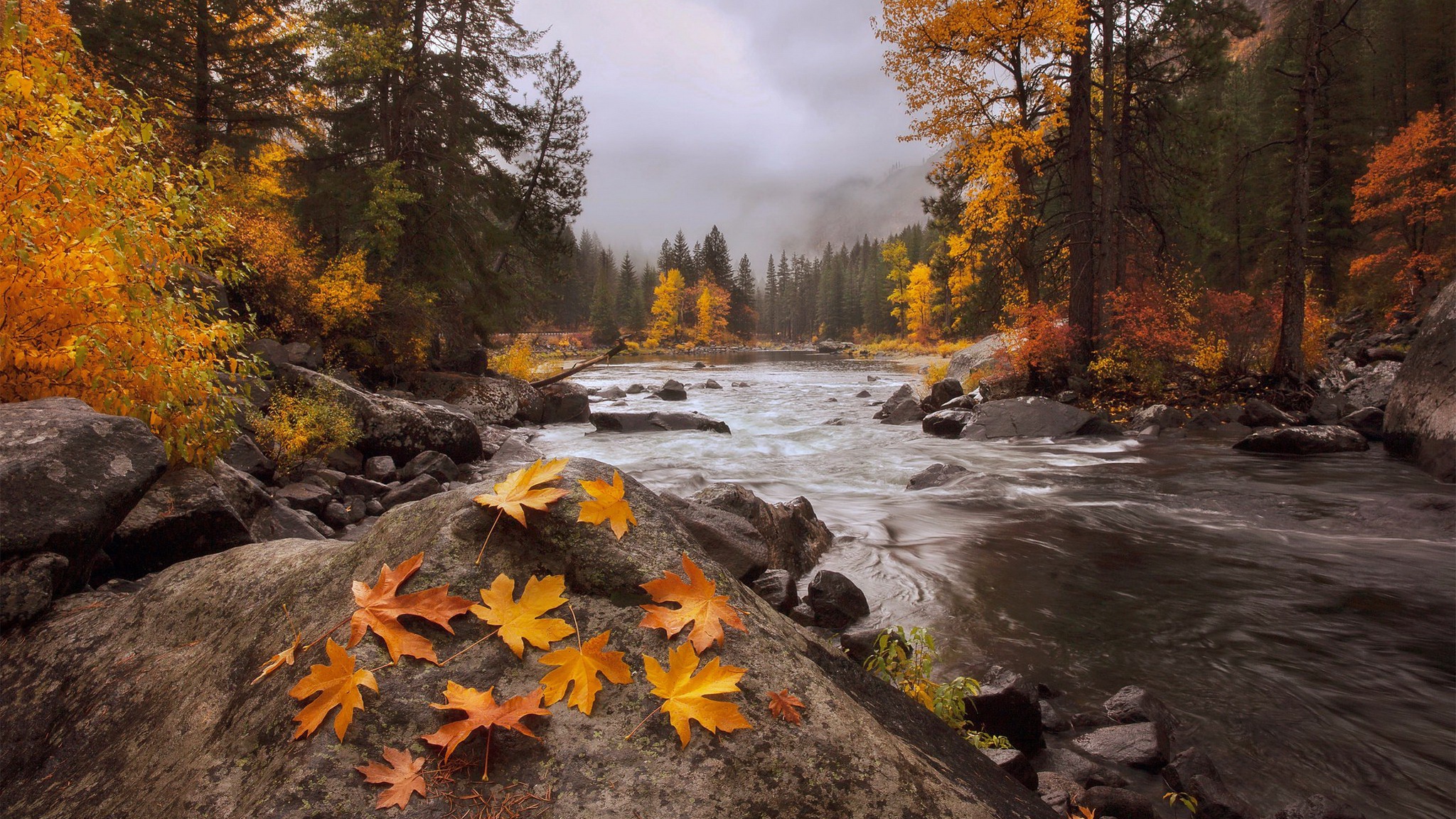 Download wallpaper autumn, nature, river, section nature in resolution 2048x1152