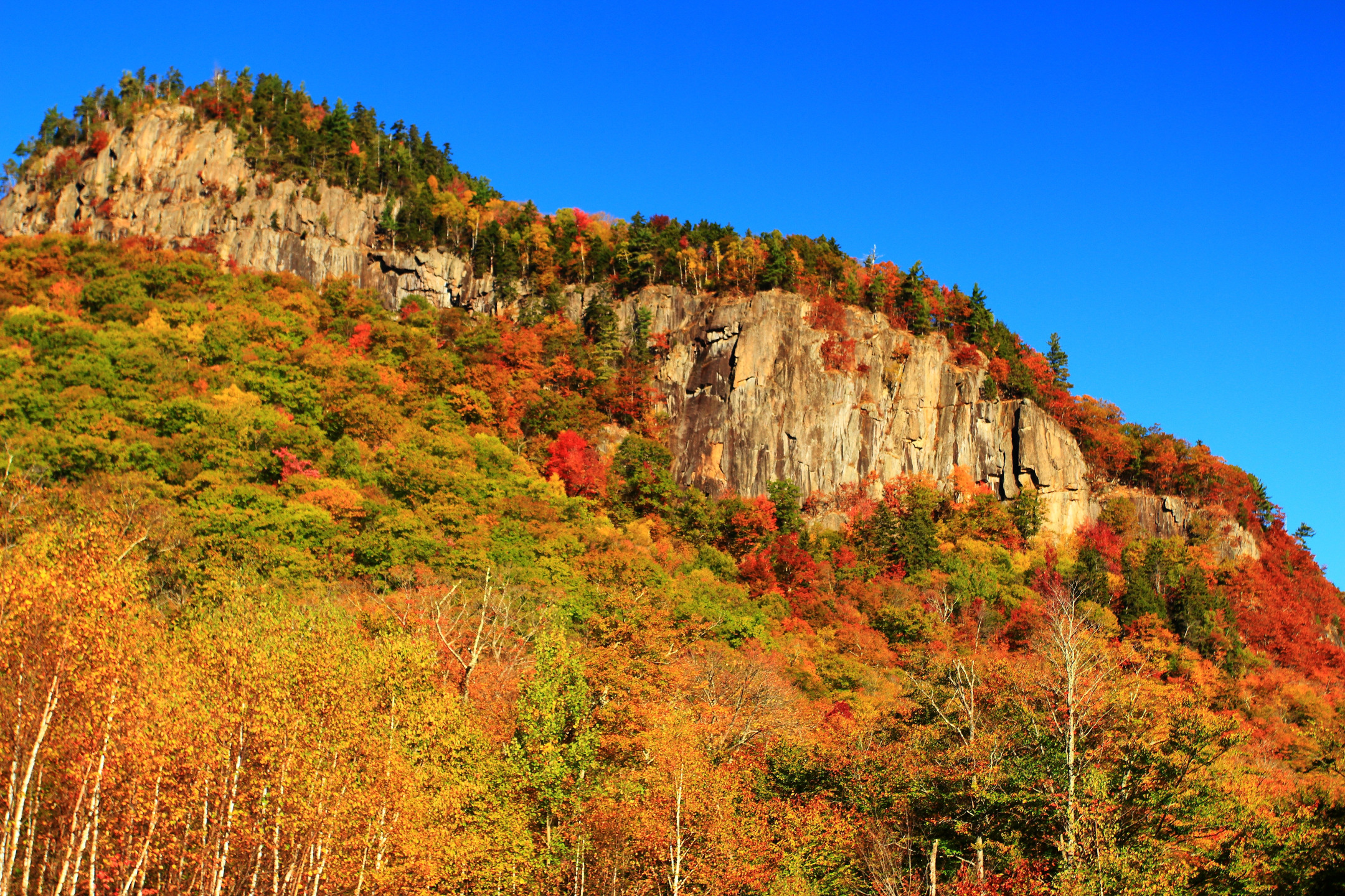 Download wallpaper forest, trees, mountains, nature, rocks, Autumn, forest, trees, section ...