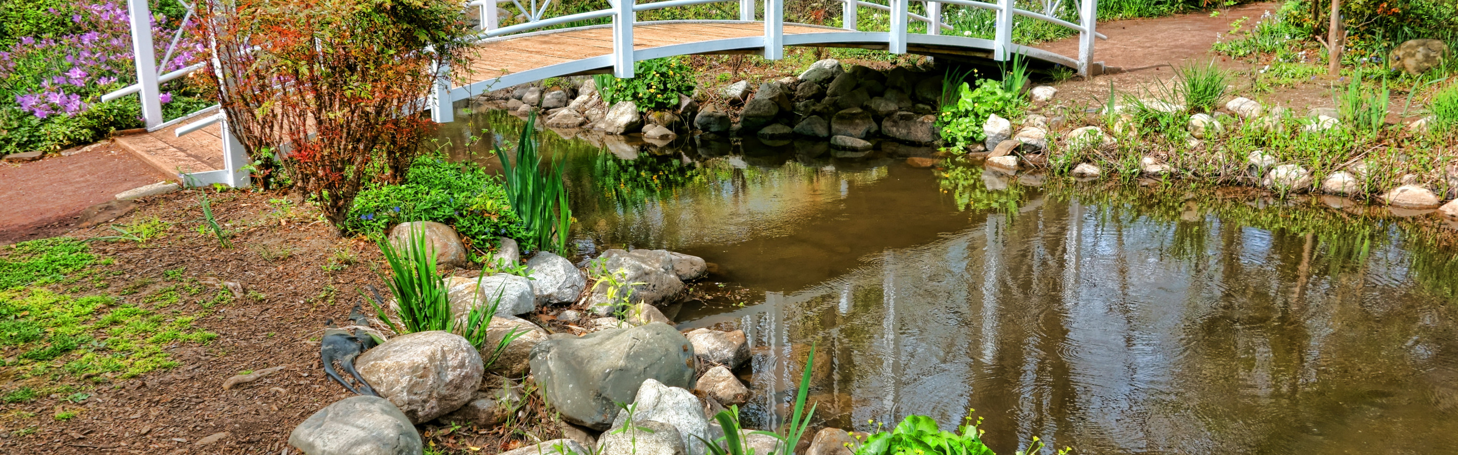 Download wallpaper photo, Nature, Bridge, Spring, Pond, Stones, Park ...
