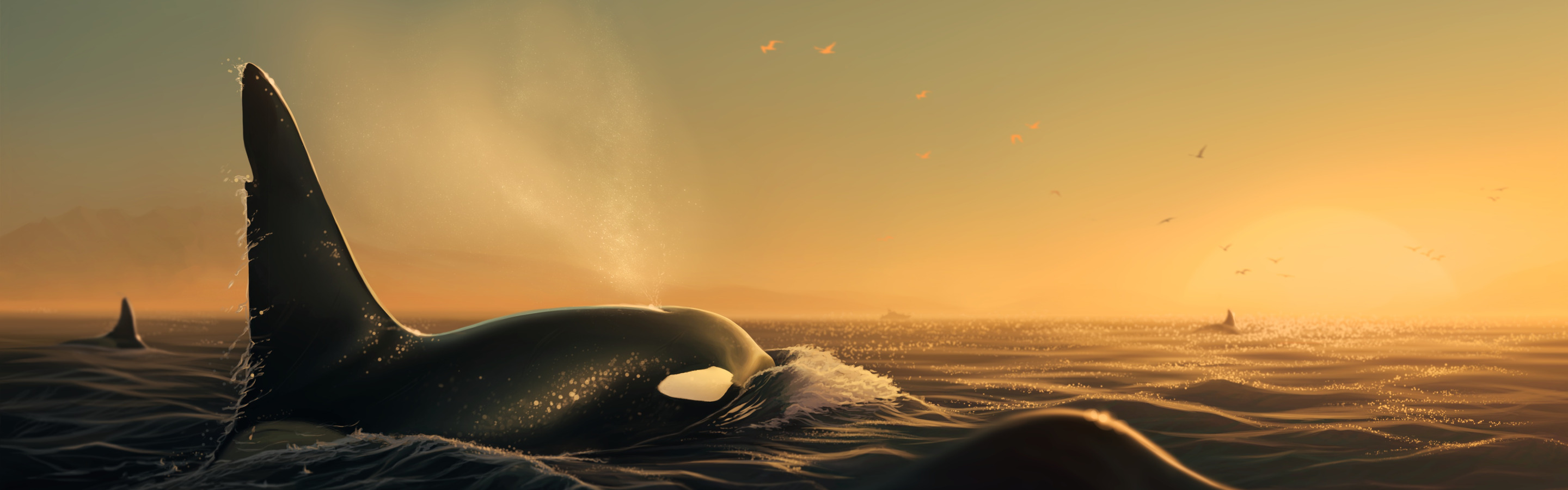 Download wallpaper sea, the sky, sunset, orcas, by Ciorano, section art ...
