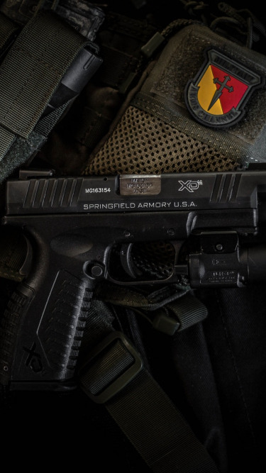 Download wallpaper gun, weapons, semi-automatic, Springfield Armory ...