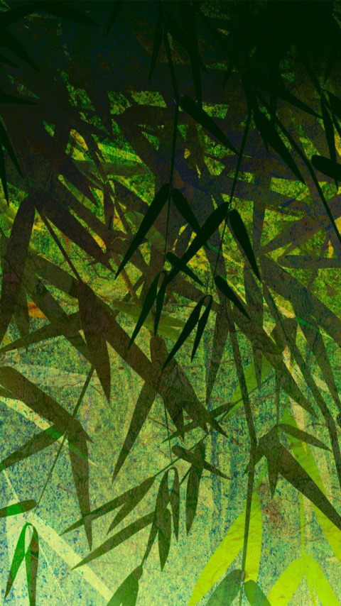 Download wallpaper Leaves, Bamboo, Texture, Bamboo, Texture, Leaves ...