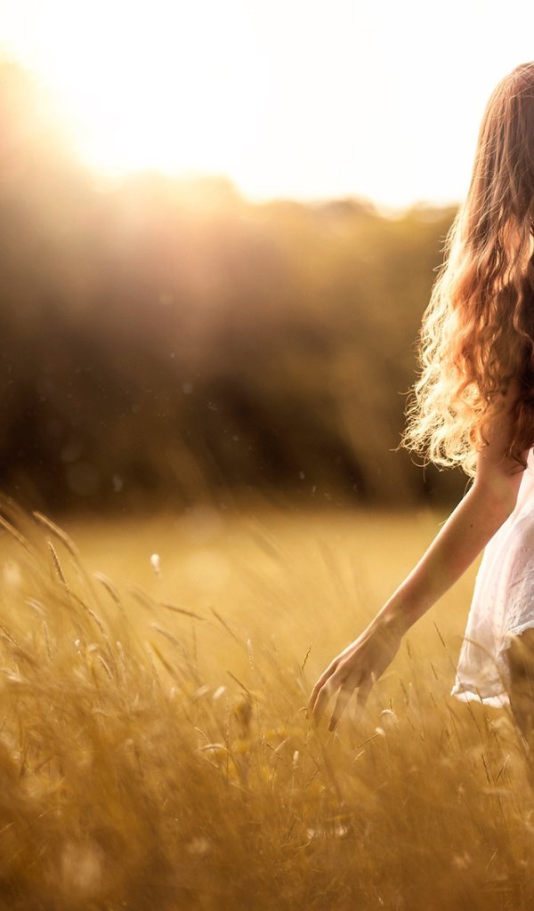 Download Wallpaper Field Girl Girl Sunny Sunny Girl Section Girls