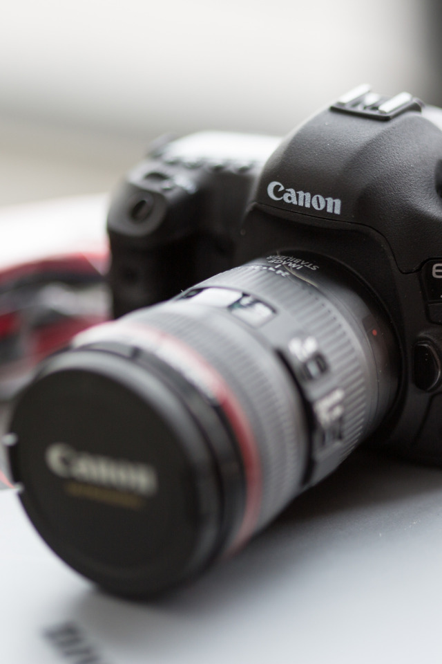 Download wallpaper macro, background, Canon, section hi-tech in ...