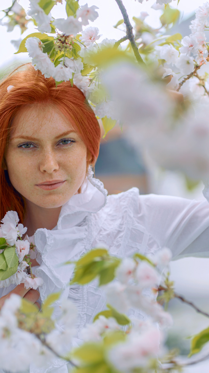 Download Wallpaper Look Girl Branches Cherry Pose Portrait Spring