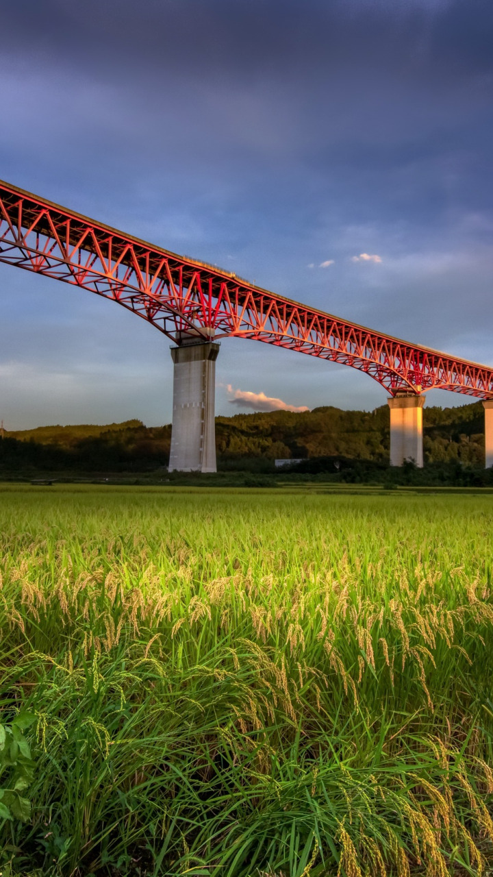 Download wallpaper road, field, bridge, section nature in resolution 720x1280