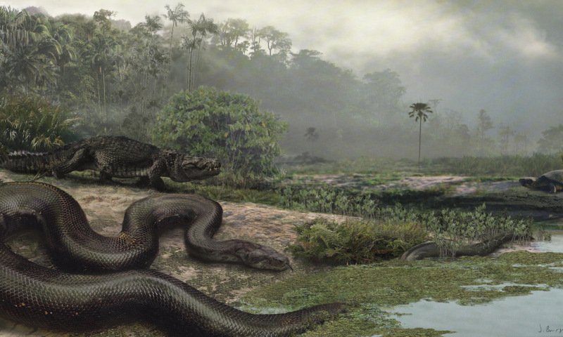 Download wallpaper Illustration, Titanoboa Cerrejonensis, Giant Snake ...