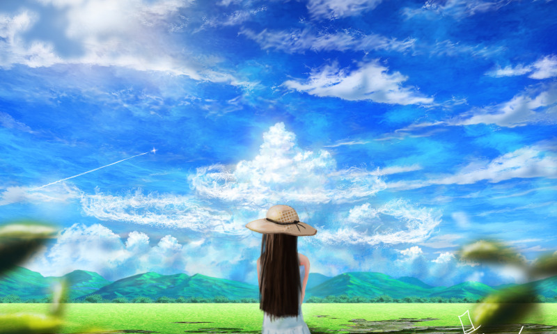 Download Wallpaper Summer The Sky Girl Nature The Plane Section