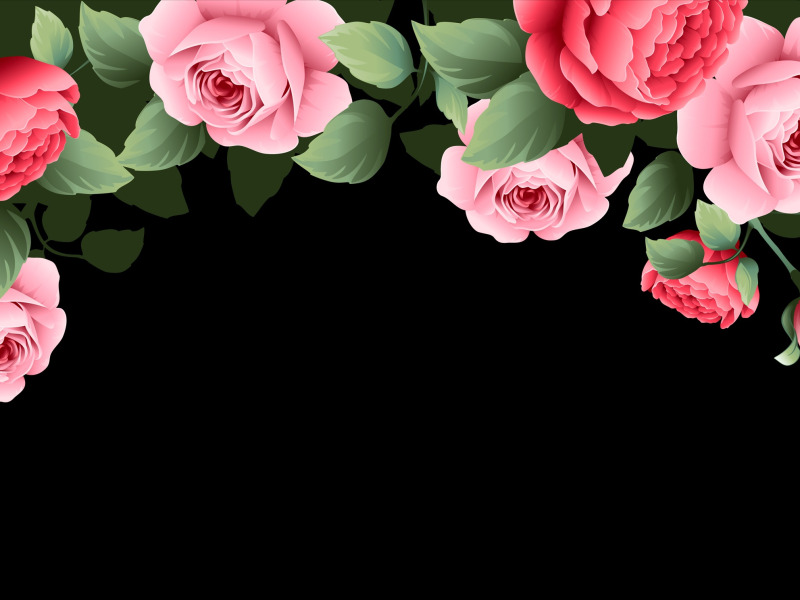 Download wallpaper flowers, background, roses, section textures in ...
