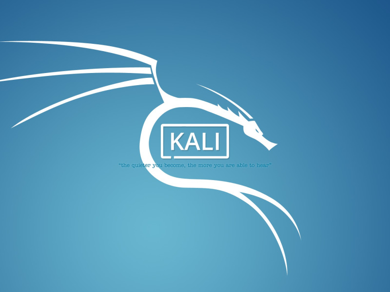 Download wallpaper linux, dragon, Mr Robot, Kali, kali linux, section ...