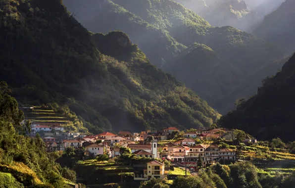 Wallpaper forest, the sun, trees, mountains, nature, home, haze, gorge ...