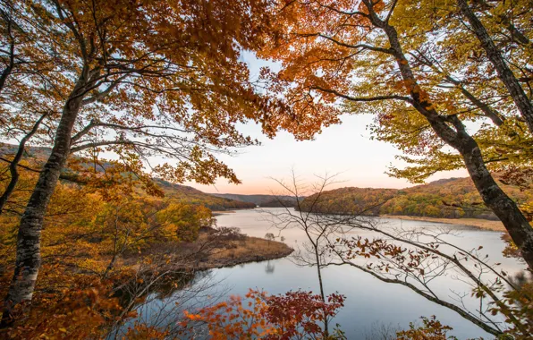 Wallpaper trees, autumn, lake, leaves, branches, fall, foliage, fall ...