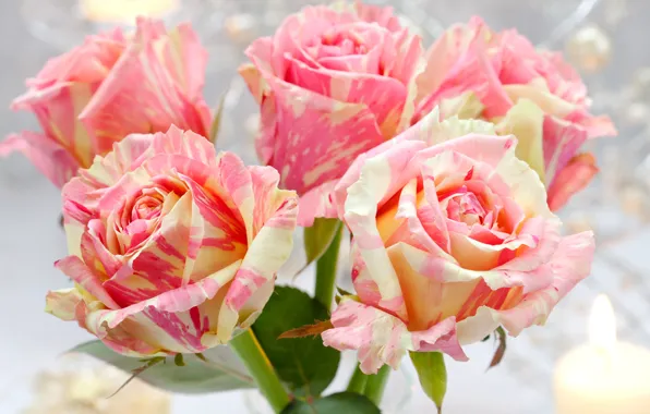 Wallpaper roses, candle, Roses images for desktop, section цветы - download