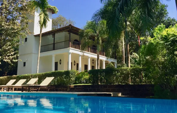 Wallpaper palm trees, pool, India, balcony, terrace, Villa Goa ...