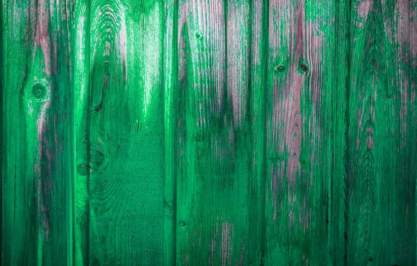 Download wallpaper color, wood, texture, section textures in resolution ...