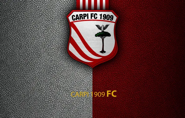 Wallpaper wallpaper, sport, logo, football, Italian Seria A, Carpi for ...