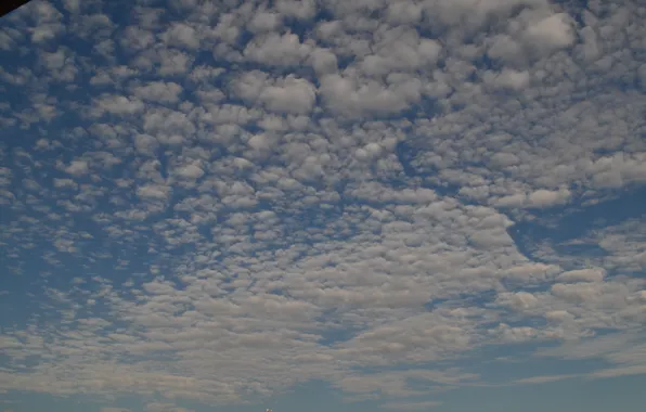 Wallpaper the sky, clouds, background for mobile and desktop, section ...