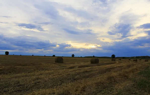 Wallpaper summer, the sun, sunset, nature for mobile and desktop ...