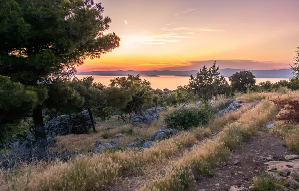 Wallpaper summer, sunset, nature, shore images for desktop, section ...