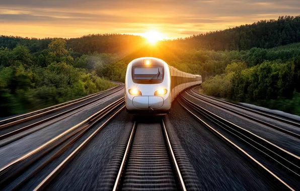 Wallpaper forest, the sky, the sun, clouds, rays, sunset, the way ...