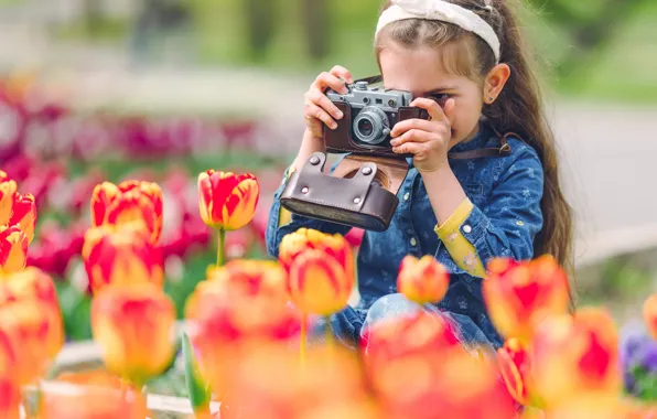 Wallpaper flowers, nature, mood, spring, the camera, girl, tulips ...