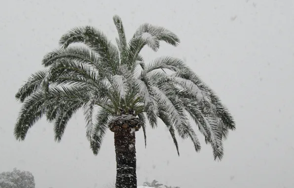 Wallpaper winter, snow, Palma, France, Cagnes-sur-Mer for mobile and ...